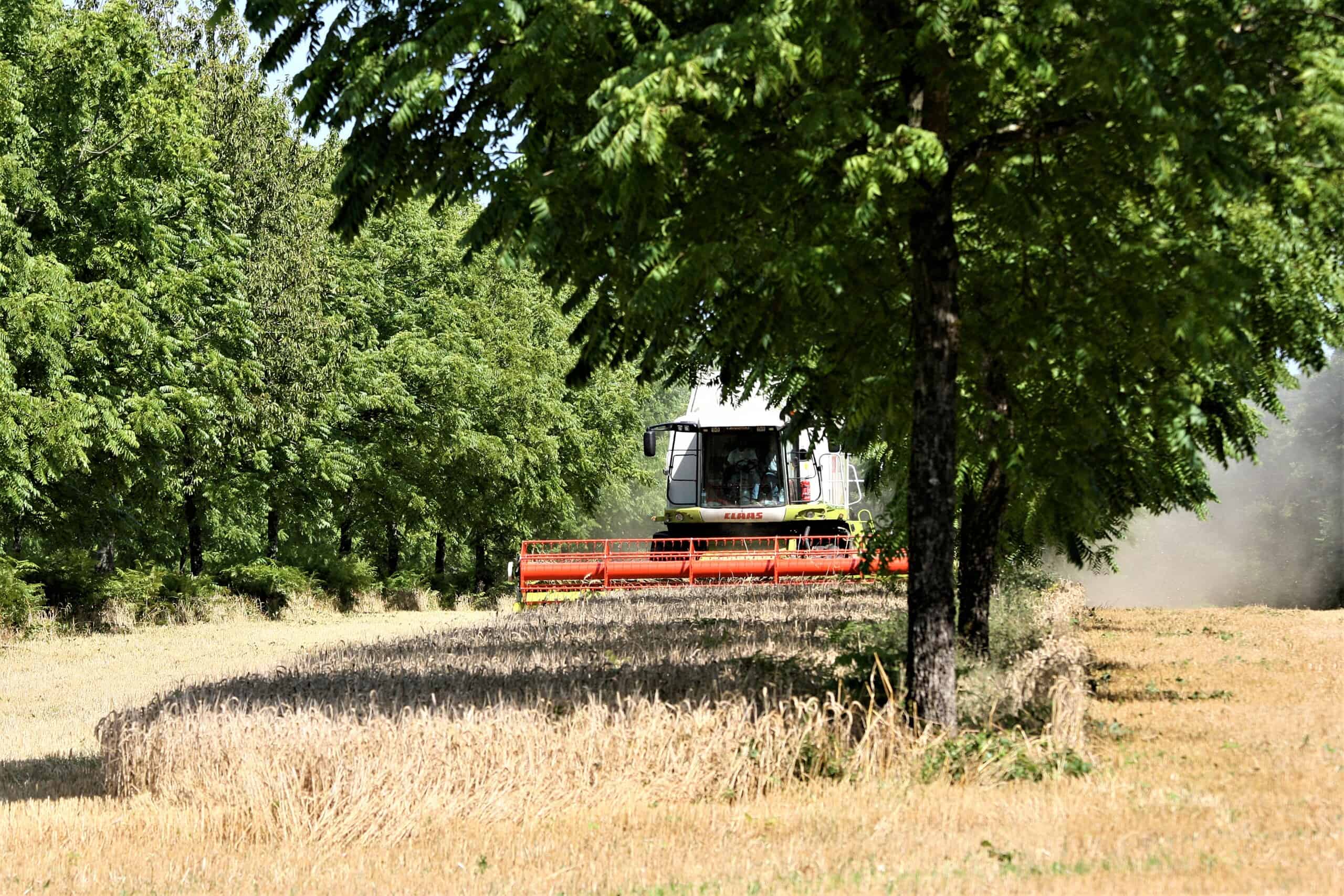 Agrisilvicultural systems – IUAF