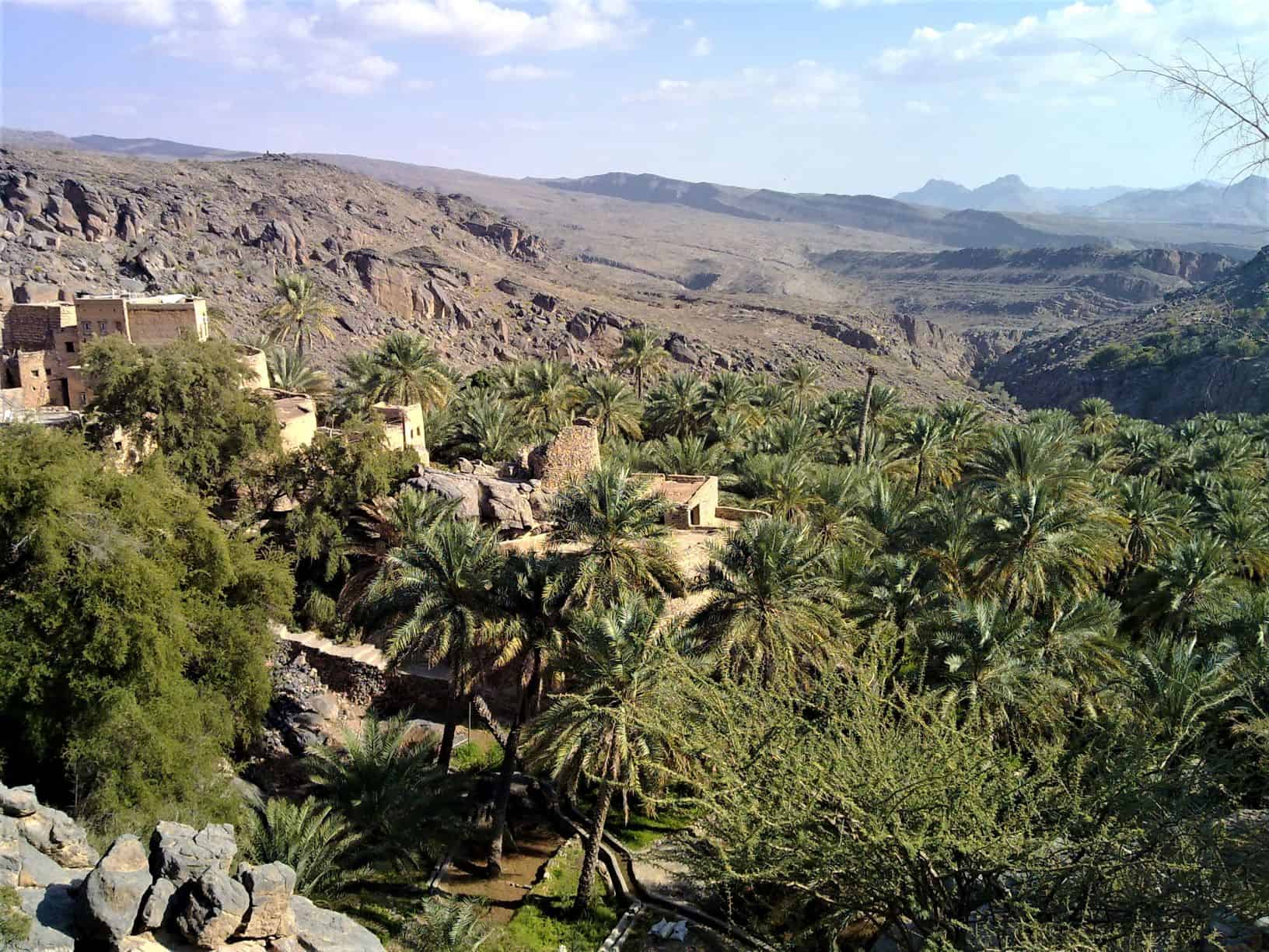 Agrisilvicultural systems – IUAF