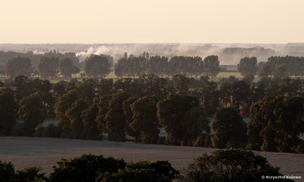 Agrisilvicultural systems – IUAF